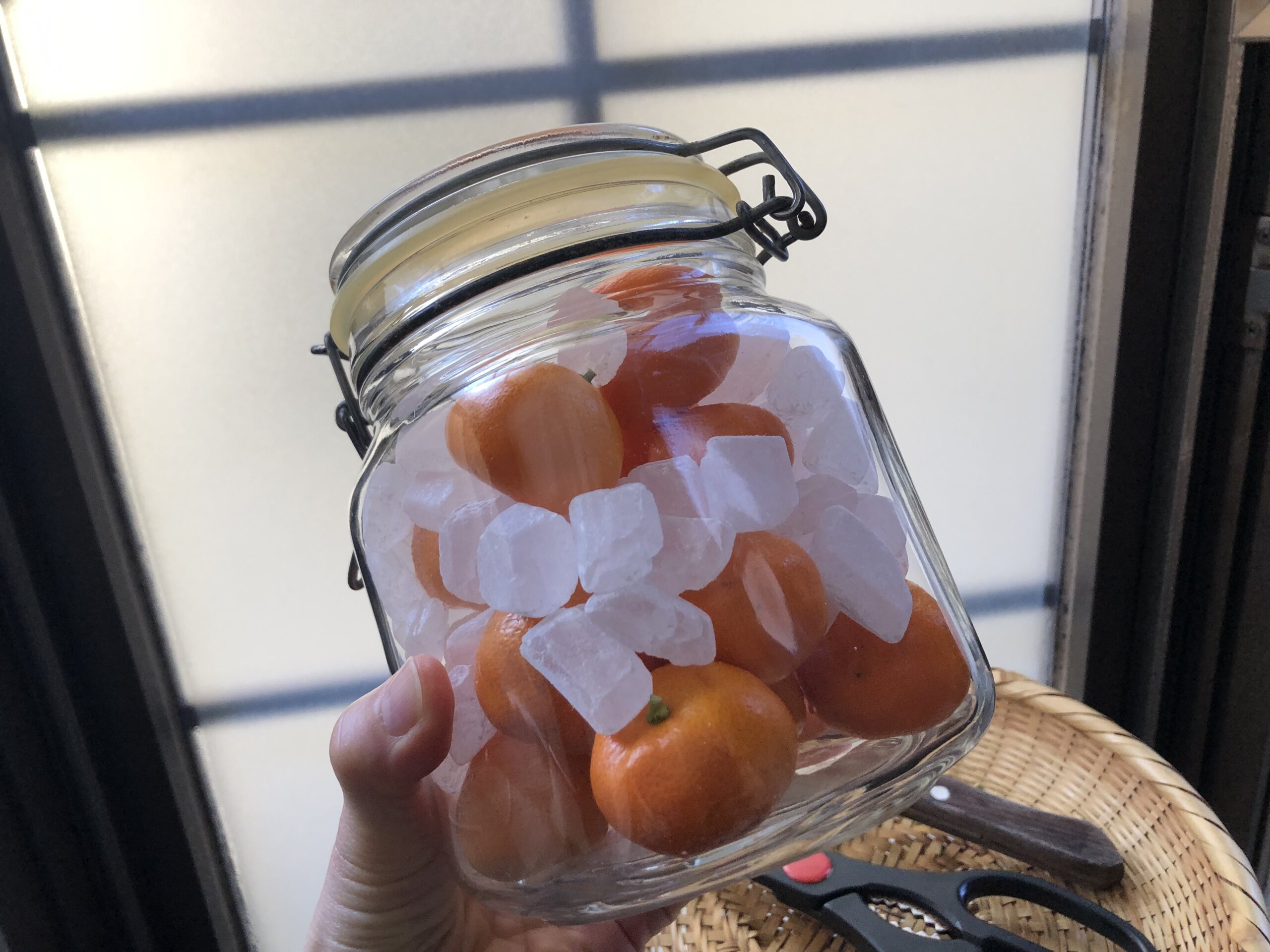 今年最後のピラティスへ | EARTH COLOR